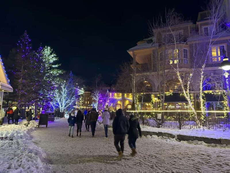 From Toronto: Blue Mountain Day Trip Skiing Snowboarding - What to Expect from Your Day Trip  