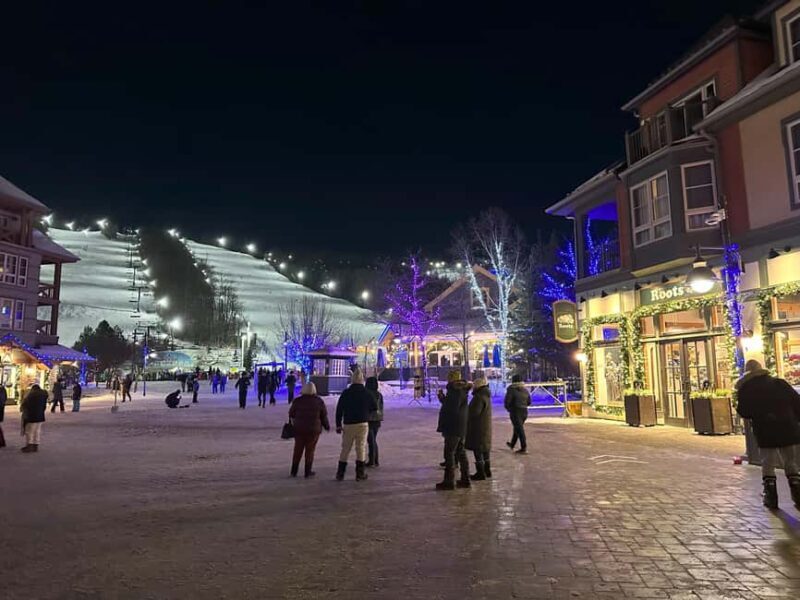 From Toronto: Blue Mountain Day Trip Skiing Snowboarding - Is It Worth the Cost?