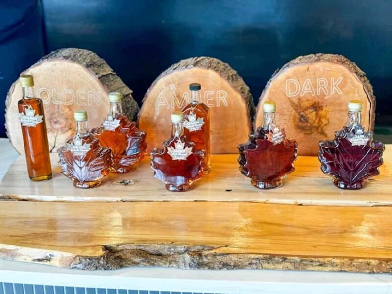 From Toronto: Niagara Falls Guided Day Tour with Boat Cruise - Final thoughts