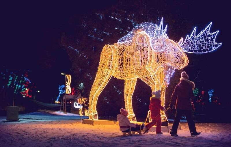 From Toronto: Winter Festival of Lights Niagara Falls Tour