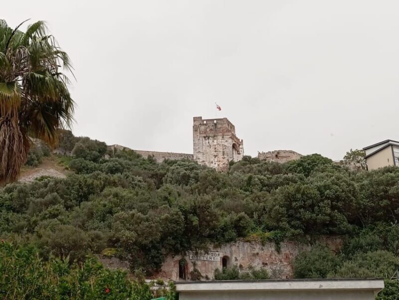 From Torremolinos: Day Trip to Gibraltar - Guides and Assistance