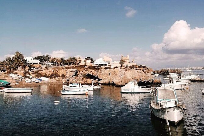 From Torrevieja to Tabarca, Santa Pola and entrance to the Pink Lagoon - Authentic Experiences from Past Travelers
