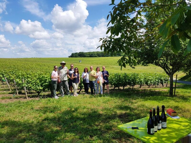 From Tours: Afternoon Loire Valley Wine Tour - Key Points