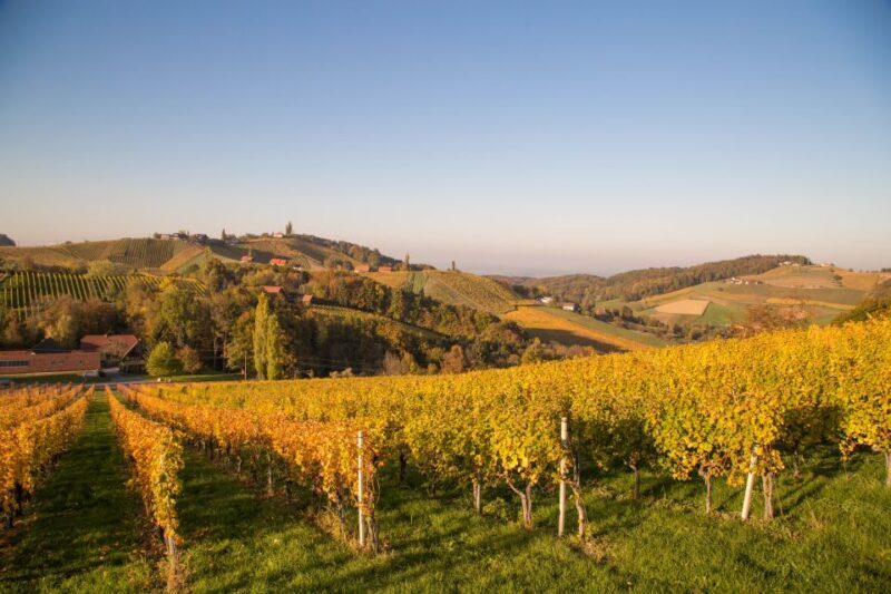 From Tours: Loire Valley Wineries Day Trip with Tastings - Key Points