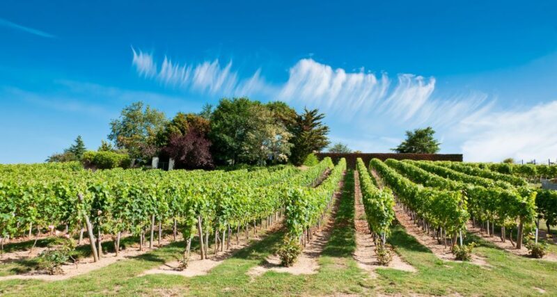 From Tours: Loire Valley Wineries Day Trip with Tastings - Final Thoughts