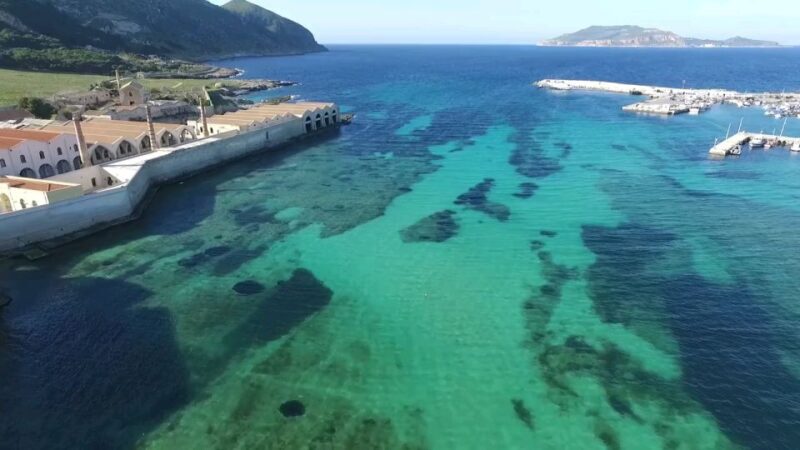 From Trapani: Day Cruise to Favignana & Levanzo with Lunch - Key Points