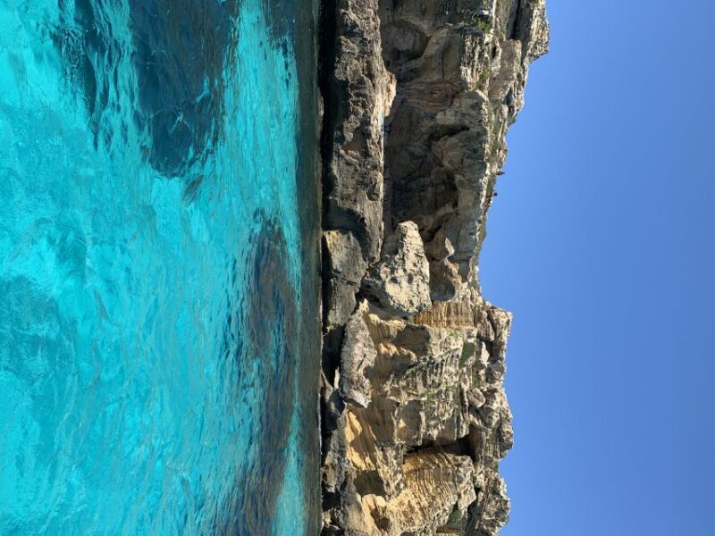 From Trapani: Favignana and Levanzo Full Day Cruise - FAQs