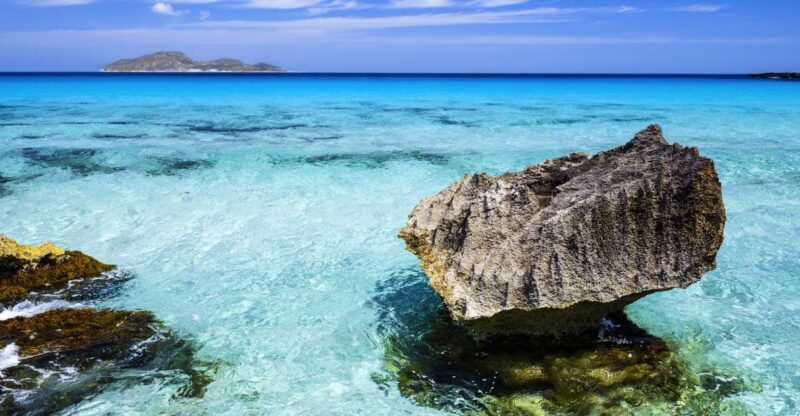 From Trapani: Favignana and Levanzo Mini Cruise with Lunch - An In-Depth Look at the Trip