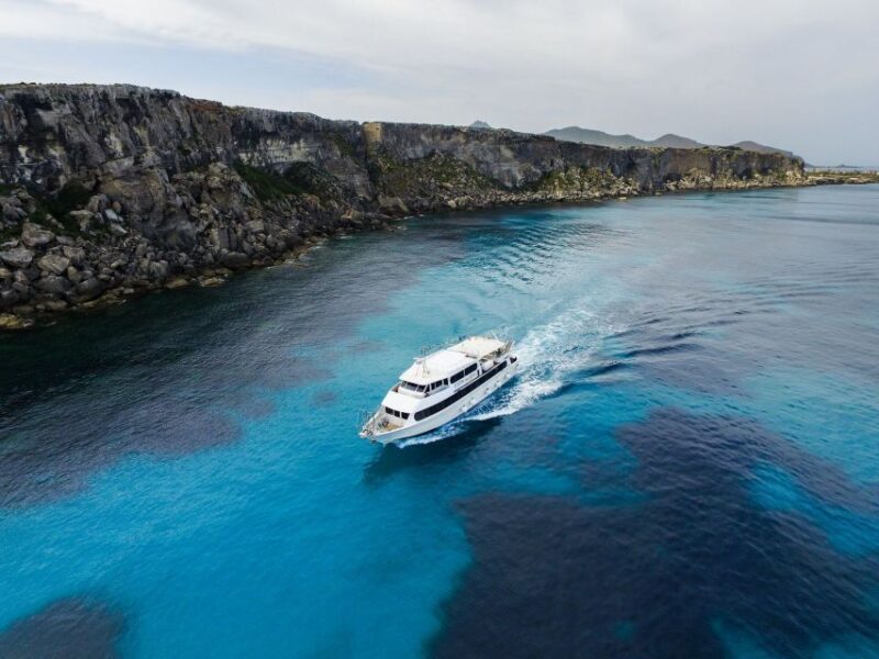 From Trapani: Favignana and Levanzo Motorboat Cruise - Key Points