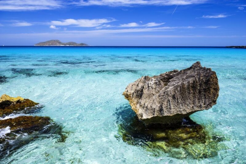 From Trapani: Favignana and Levanzo Motorboat Cruise - Who Should Book This Tour?