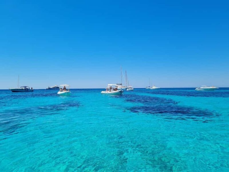 From Trapani: Full-day Favignana and Levanzo tour with lunch and aperitif - A Deep Dive into the Experience