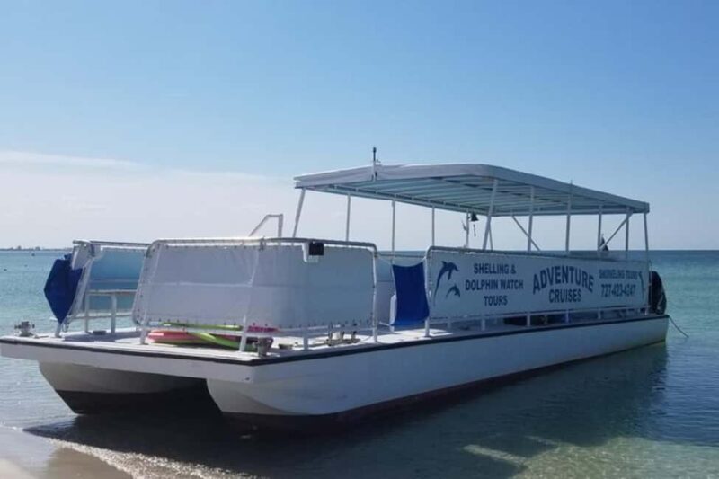 From Treasure Island: Dolphin Watching and Shelling Cruise - The Sum Up: Is This Tour Worth It?