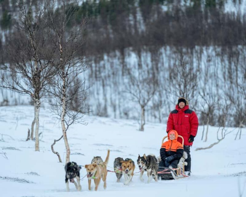 From Tromsø: Advanced Dog Sledding Daytime & Snow Park Visit - Key Points