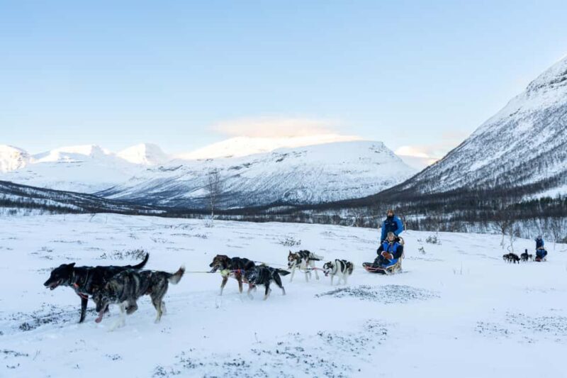 From Tromsø: Advanced Dog Sledding Daytime & Snow Park Visit - The Journey Begins: From Tromsø to Tamok Valley