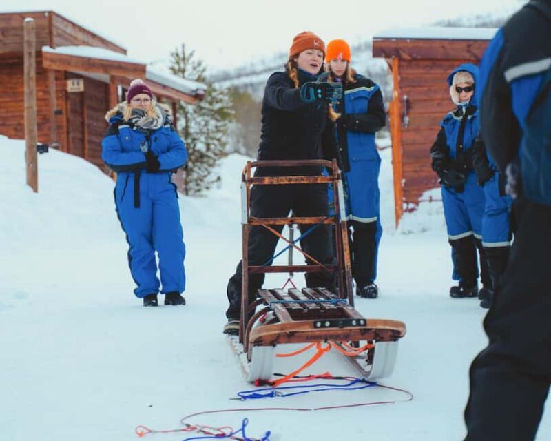 From Tromsø: Advanced Dog Sledding Daytime & Snow Park Visit - The Thrill of Self-Drive Dog Sledding