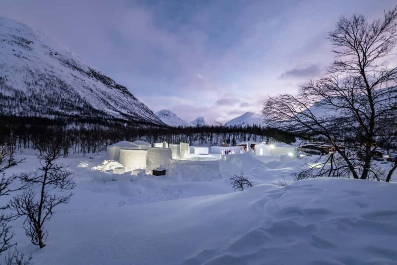 From Tromsø: Advanced Dog Sledding Daytime & Snow Park Visit - The Return Journey & Final Thoughts