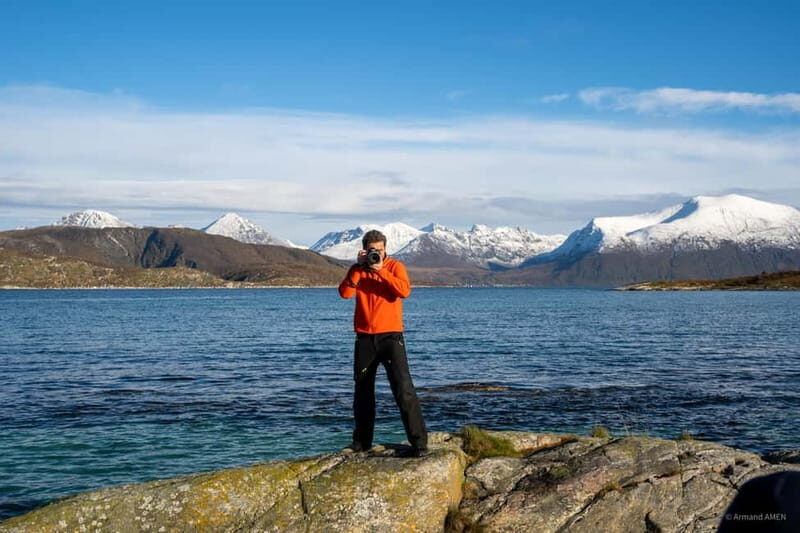 From Tromsø: Arctic Roadtrip: fjords tour with scenic picnic - Authenticity and Review Highlights