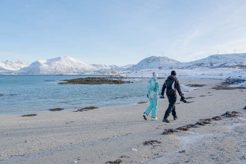 From Tromsø: Arctic Roadtrip: fjords tour with scenic picnic - The Sum Up