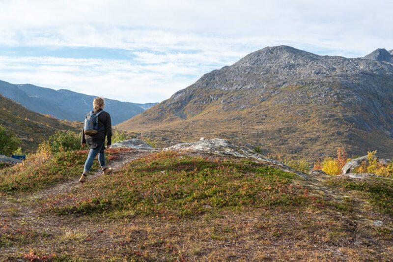 From Tromsø: Arctic Roadtrip Small Group 4x4 Van - The Itinerary and What You Can Expect