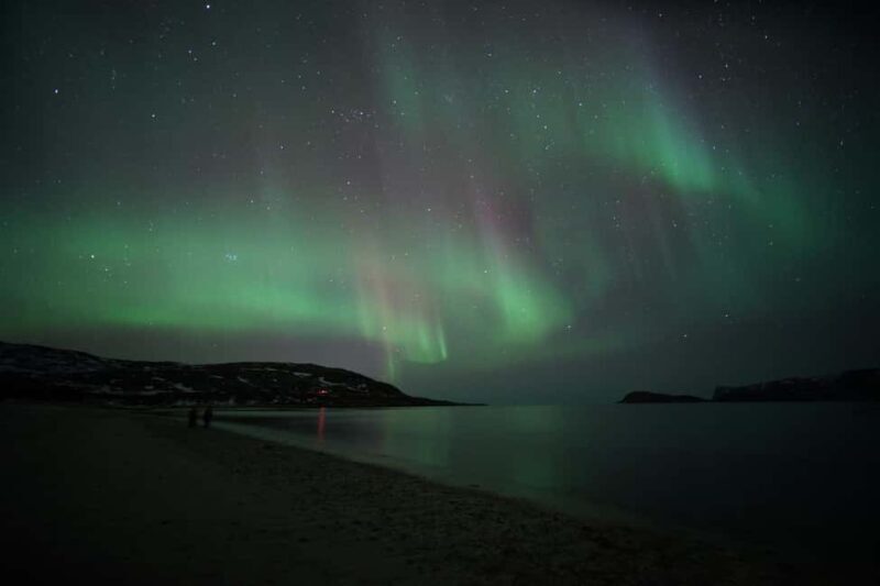 From Tromsø: Aurora Bus Tour with Snacks, Photos, and Drinks - The Experience: A Deep Dive