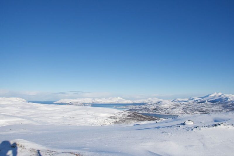 From Tromsø: Daytime Snowshoe Experience with stunning views - Key Points