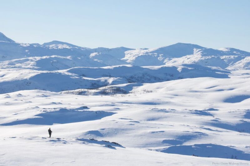 From Tromsø: Daytime Snowshoe Experience with stunning views - Discovering the Arctic Landscape with Ease