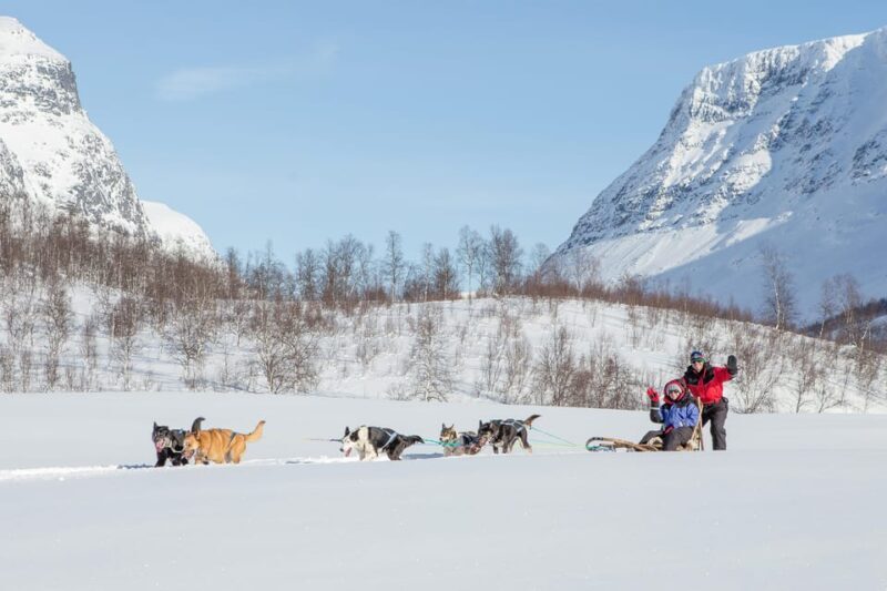From Tromsø: Dog Sledding Adventure in Tamokdalen - Authenticity, Safety, & Animal Welfare