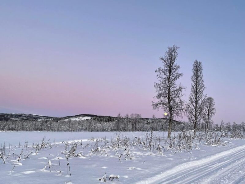 From Tromso: Eco Luxury Snowmobile Adventure to Lyngen Alps - FAQ