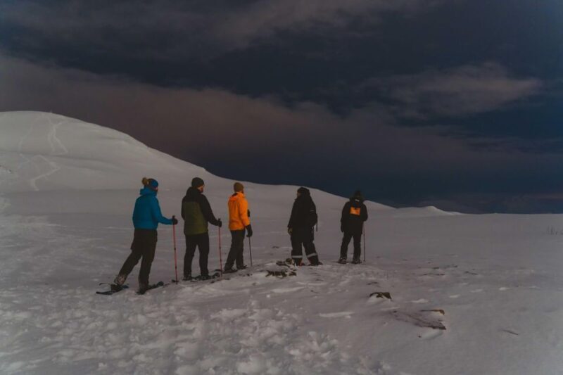 From Tromsø: Evening Fjellheisen Snowshoe Hike and Cable Car - Why This Tour Works