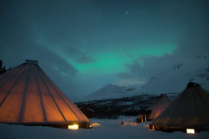 From Tromsø: Evening Reindeer Sledding at Camp Tamok - Key Points