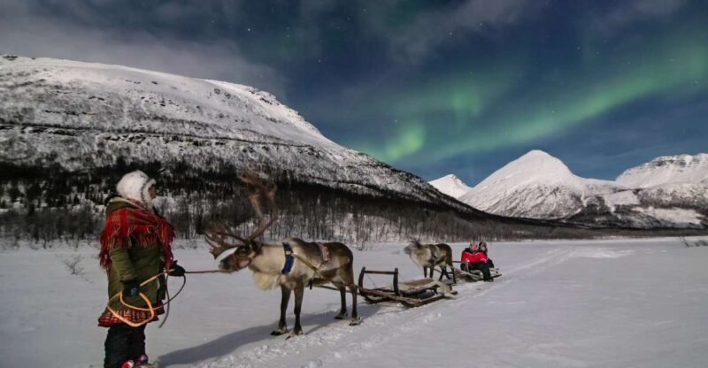 From Tromsø: Evening Reindeer Sledding at Camp Tamok - Authenticity & Value