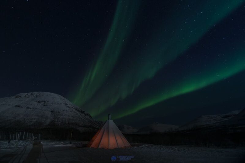 From Tromsø: Evening Reindeer Sledding at Camp Tamok - Final Thoughts