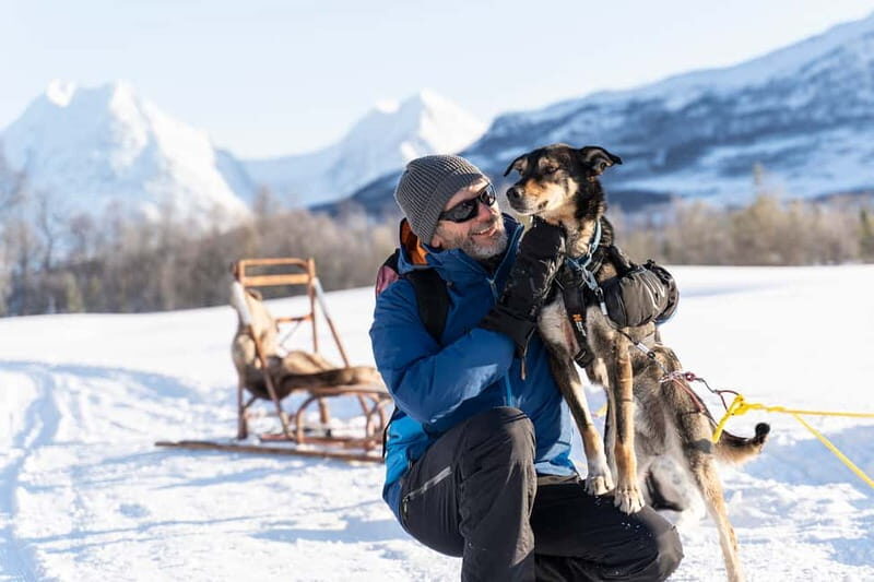 From Tromsø: Husky Experience with Self-Drive Dog Sled Ride - Key Points