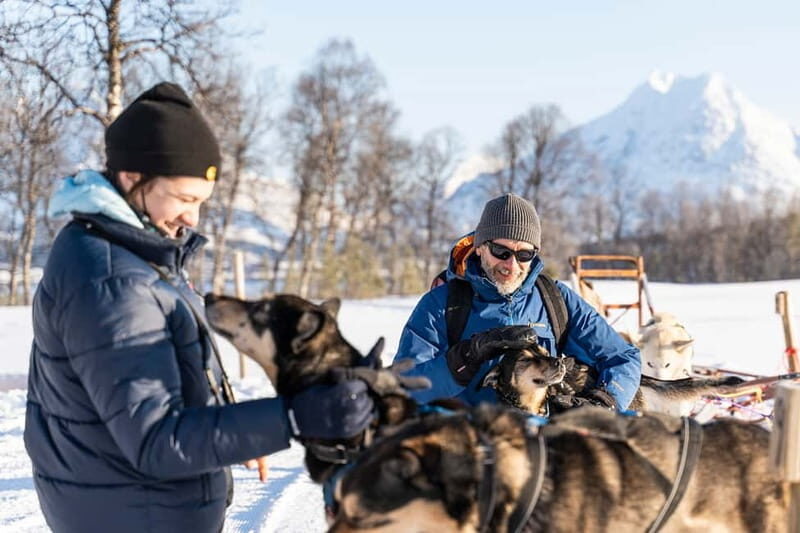 From Tromsø: Husky Experience with Self-Drive Dog Sled Ride - Who Would Love This Experience?