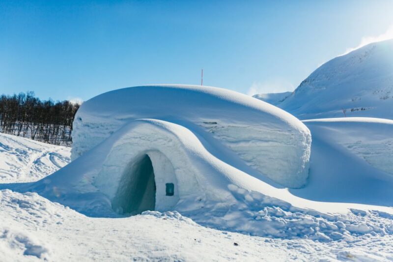 From Tromsø: Ice Domes Snow Park and Wilderness Experience - Who Should Take This Tour?