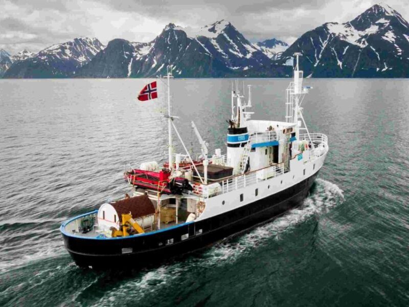 From Tromsø: Northern Lights Cruise on a Cozy Vintage Vessel - An Authentic Arctic Voyage with Charm and Comfort