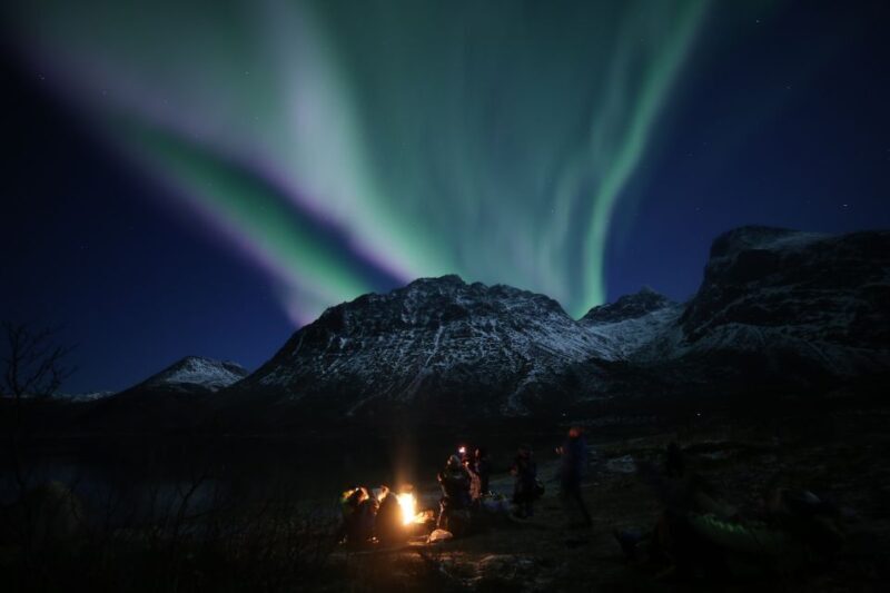 From Tromso: Northern Lights Photography Tour - Who Should Book This Tour?