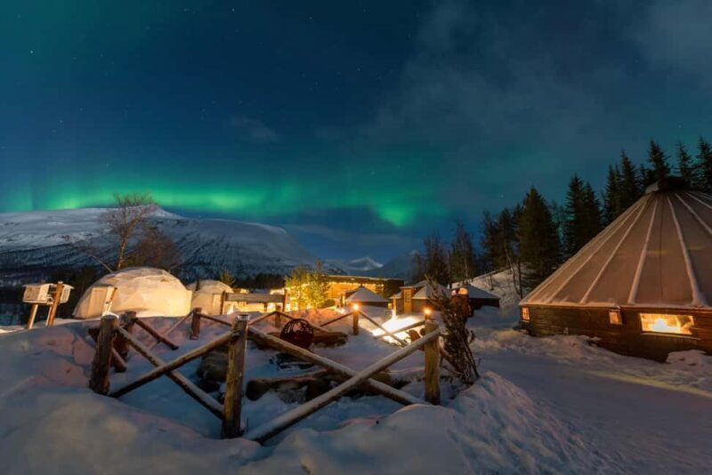 From Tromsø: Northern Lights Visit at Camp Tamok - Key Points