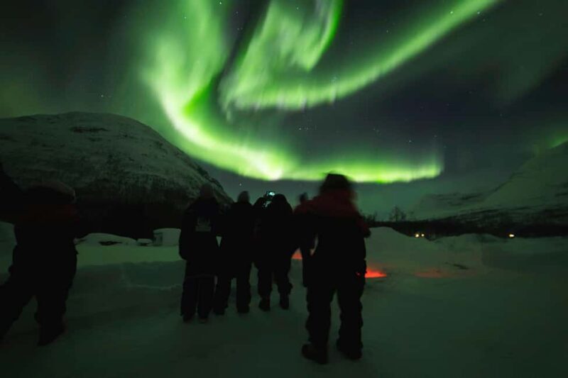 From Tromsø: Northern Lights Visit at Camp Tamok - The Realities from Guest Reviews