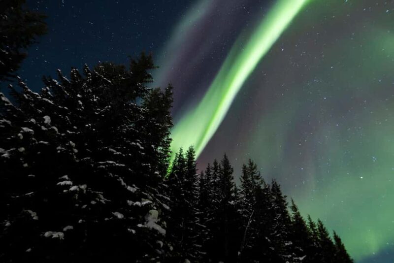 From Tromsø: Northern Lights Visit at Camp Tamok - Who Should Consider This Tour?