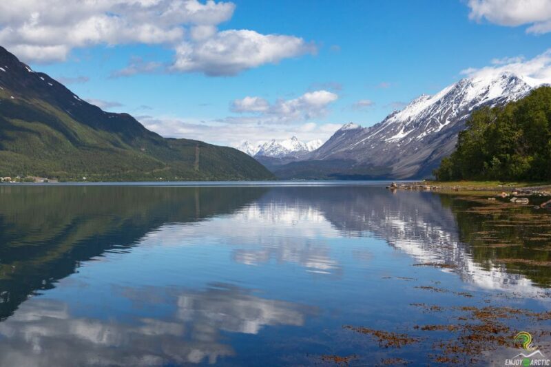From Tromso: Norwegian Fjords Half-Day Tour - From Tromso: Norwegian Fjords Half-Day Tour — A Detailed Look