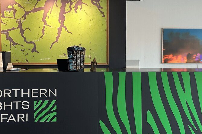 From Tromsø: Official Northern lights Safari - The Sum Up