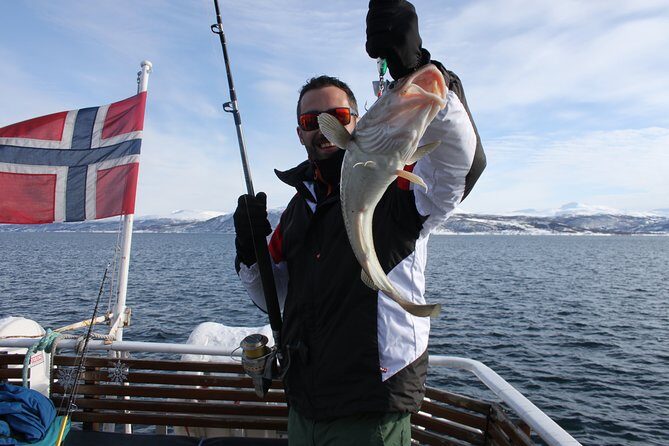 From Tromsø: Polar Fishing Adventure - Key Points  