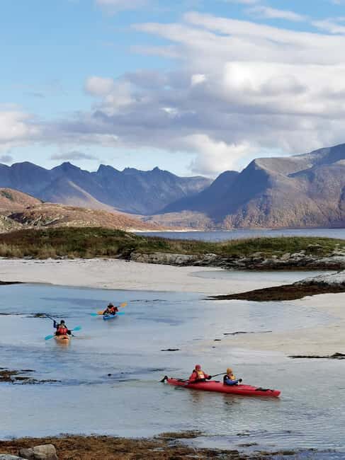 From Tromsø: Sea Kayaking Tour at Sommarøy - Wildlife and Nature: Close Encounters