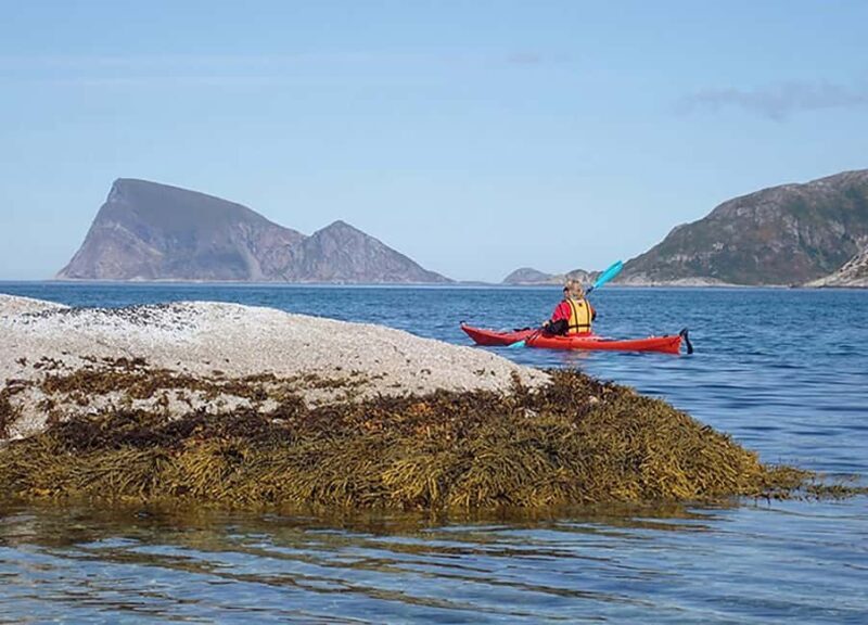 From Tromsø: Sea Kayaking Tour at Sommarøy - Post-Paddle: Returning and Reflecting