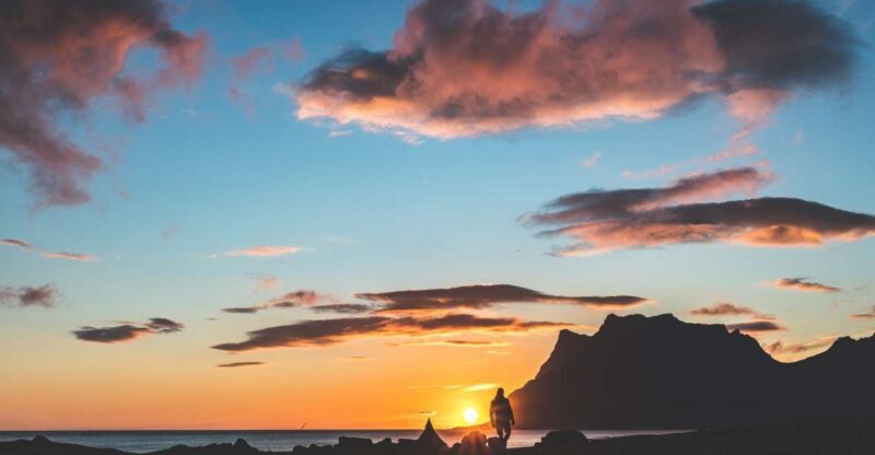 From Tromsø: Senja Discovery Arctic Day Trip with Lunch - Key Points