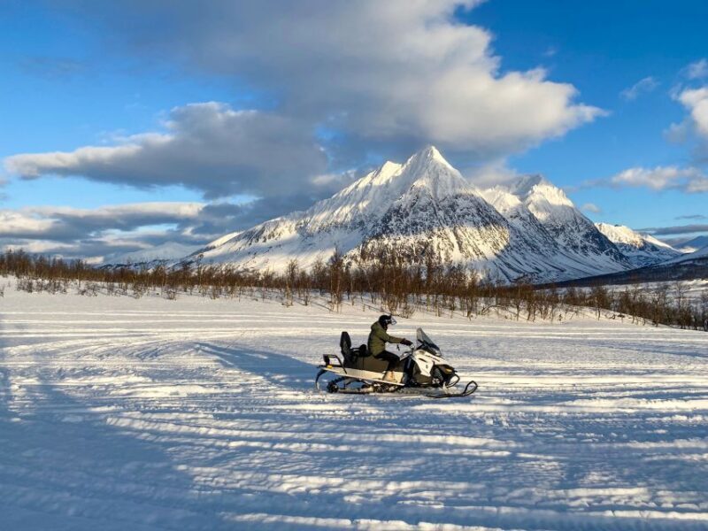 From Tromsø: Snowmobile Safari in the Lyngen Alps - Who Is This Tour Best For?