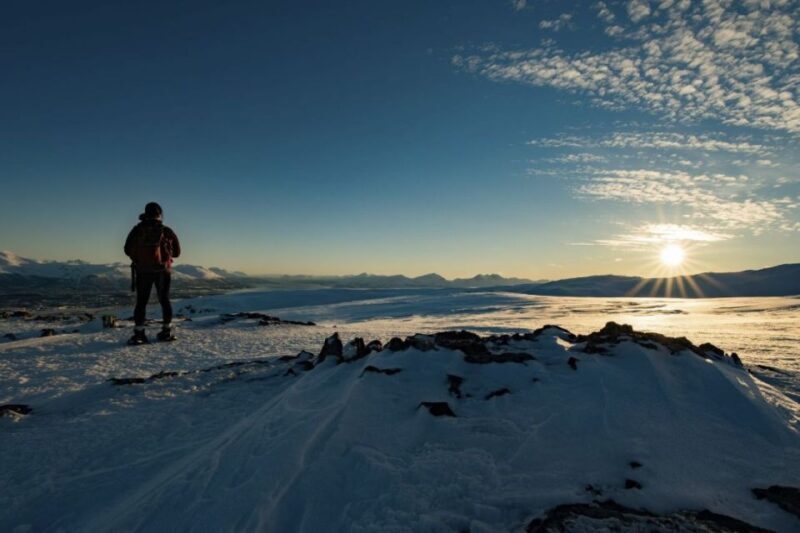 From Tromsø: Snowshoe Hike in the Arctic - What to Expect from the Tour