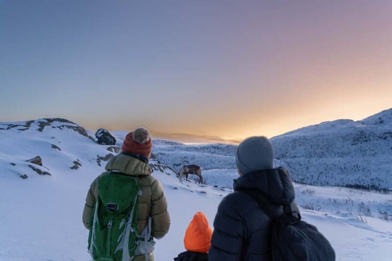 From Tromsø: Snowshoe Hike with Local Guides - Key Points