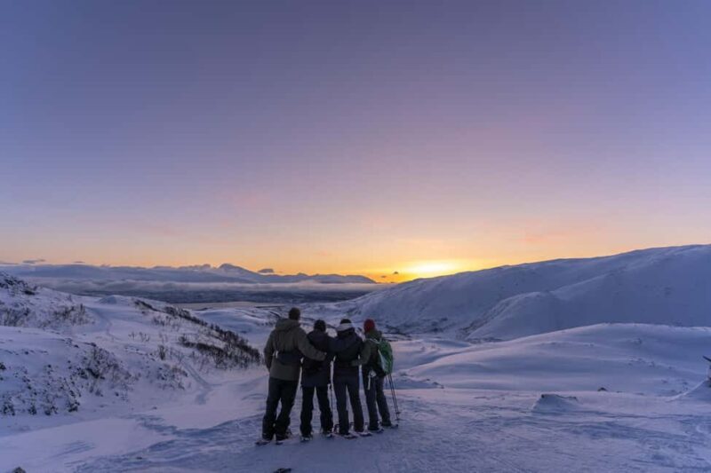 From Tromsø: Snowshoe Hike with Local Guides - Scenic Lunch and Wildlife Viewing